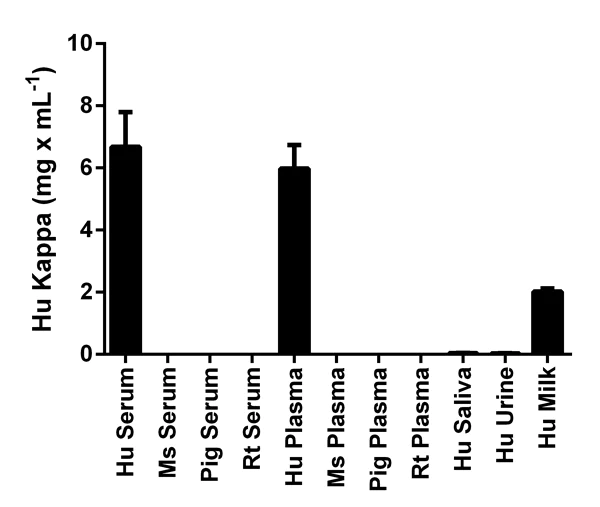 Human Kappa ELISA Kit (ab157709) | Abcam