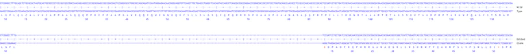 Human LOX knockout THP-1 cell line (ab301041) | Abcam