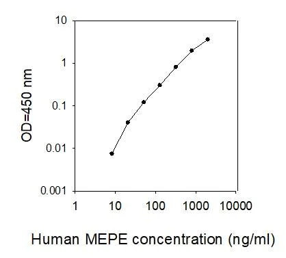 Human MEPE ELISA Kit (ab277405) | Abcam