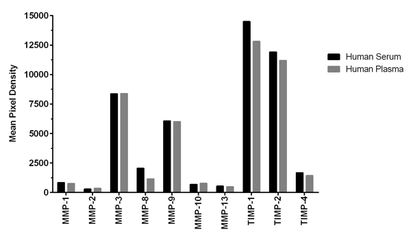 Human MMP Antibody Array - Membrane (10 Targets) (ab134004) | Abcam