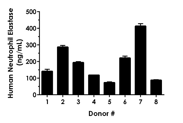 Human Neutrophil Elastase ELISA Kit (ab270204) | Abcam