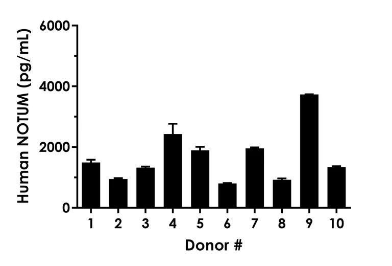 Human NOTUM ELISA Kit- Extracellular, 90-min ELISA (ab317781) | Abcam