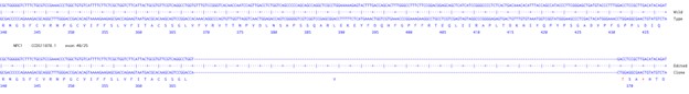 Human NPC1 knockout A549 cell line (ab301105) | Abcam
