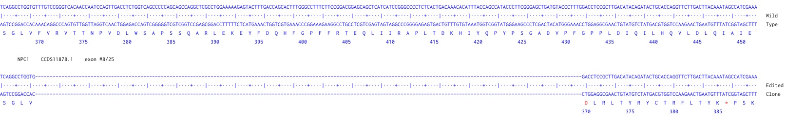 Human NPC1 knockout A549 cell line (ab301105) | Abcam