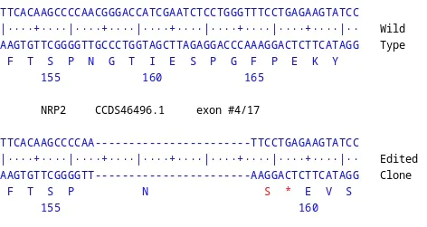 Human NRP2 knockout U-87 MG cell line (ab306847) | Abcam