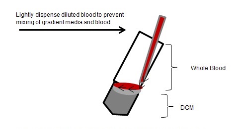 Human Peripheral Blood Mononuclear Cell Isolation and Viability Kit ...