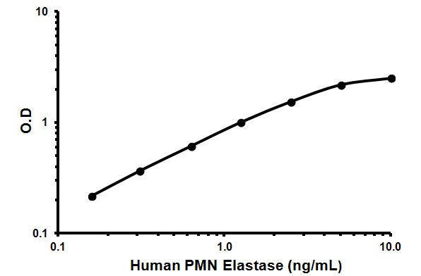 Human PMN Elastase ELISA Kit (ab119553) | Abcam
