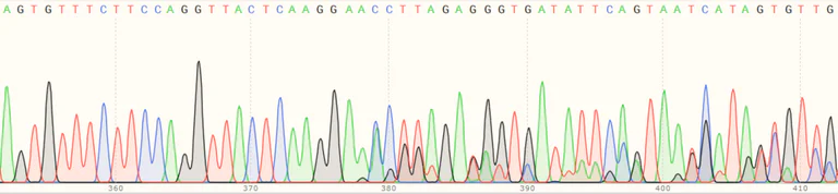 Human POMK knockout HEK-293T cell line (ab267313) | Abcam