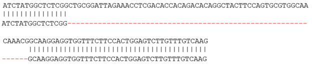 Human ROR1 knockout A549 cell line (ab277905) | Abcam