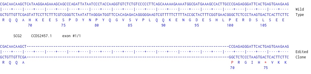 Human SCG2 knockout U-87 MG cell line (ab306865) | Abcam