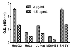 Human SOD2 ELISA Kit, colorimetric, 90-min ELISA (ab178012) | Abcam