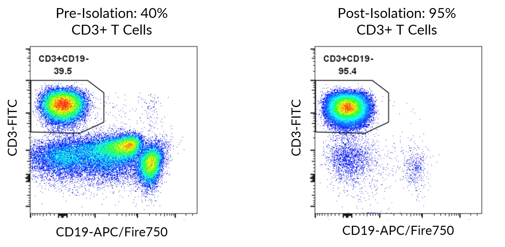 Human T Cell Isolation Kit (ab322032) | Abcam