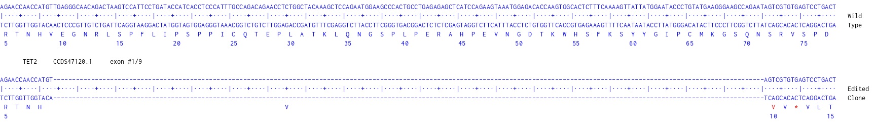 Human TET2 knockout HCT116 cell line (ab286502) | Abcam