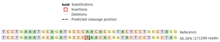 Human TFEB knockout Raji cell line (ab275832) | Abcam