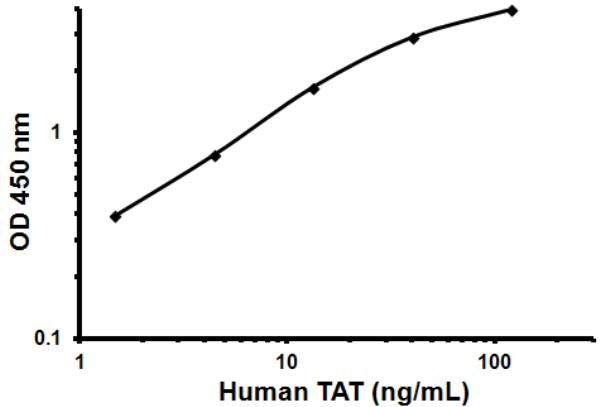 Human Thrombin-Antithrombin Complex ELISA Kit (TAT) (ab108907) | Abcam