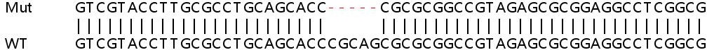 Human TOMM34 knockout HeLa cell line (ab265546) | Abcam
