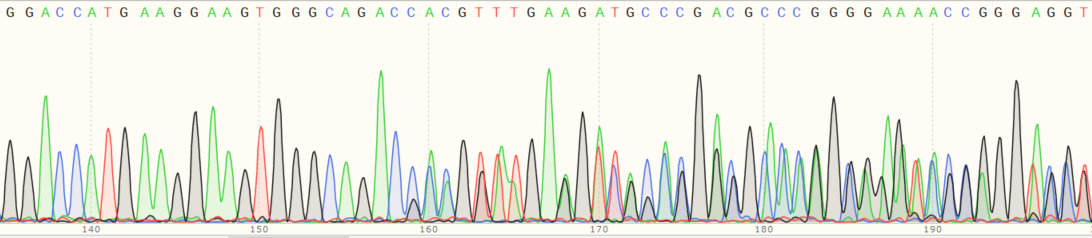 Human UBE2E1 (UBCH6) knockout HEK-293T cell line (ab266346) | Abcam