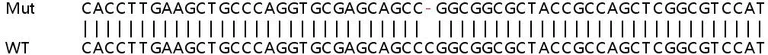 Human USP22 knockout HeLa cell line (ab264888) | Abcam