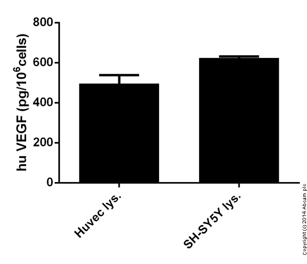 Human VEGF ELISA Kit (ab100663) | Abcam