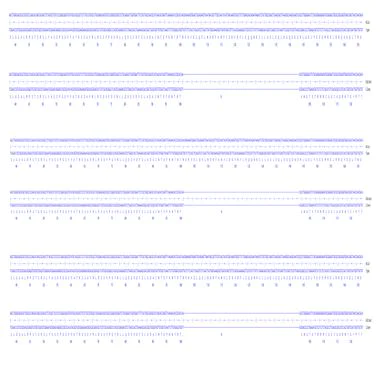 Human VIM knockout A549 cell line (ab288984) | Abcam