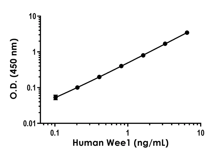 Human Wee1 ELISA Kit, colorimetric, 90-min ELISA (ab316912) | Abcam