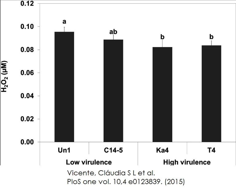 Hydrogen Peroxide Assay Kit Colorimetric / Fluorometric ab102500 | Abcam