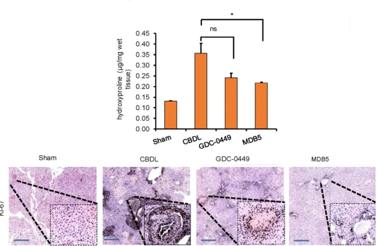 Hydroxyproline Assay Kit for Collagen ab222941/K226 | Abcam