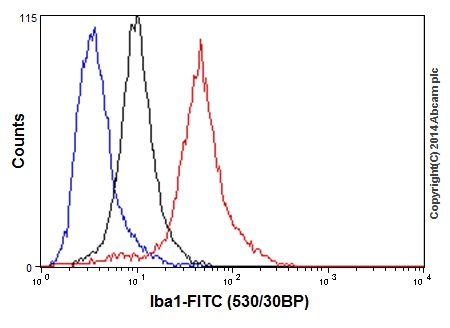 Anti-Iba1 antibody [EPR16589] Rabbit monoclonal (ab178847) | Abcam
