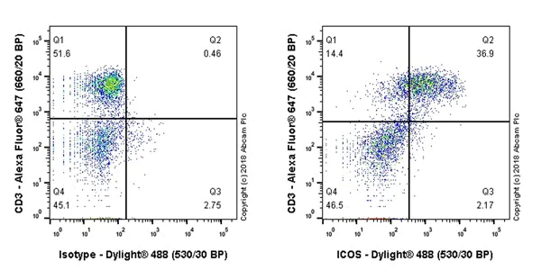 Anti-ICOS antibody [EPR22181] (ab236875) | Abcam