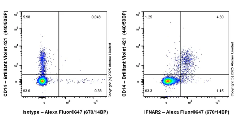 Anti-IFNAR2 antibody [EPR30040-618] (ab325427) | Abcam中文官网