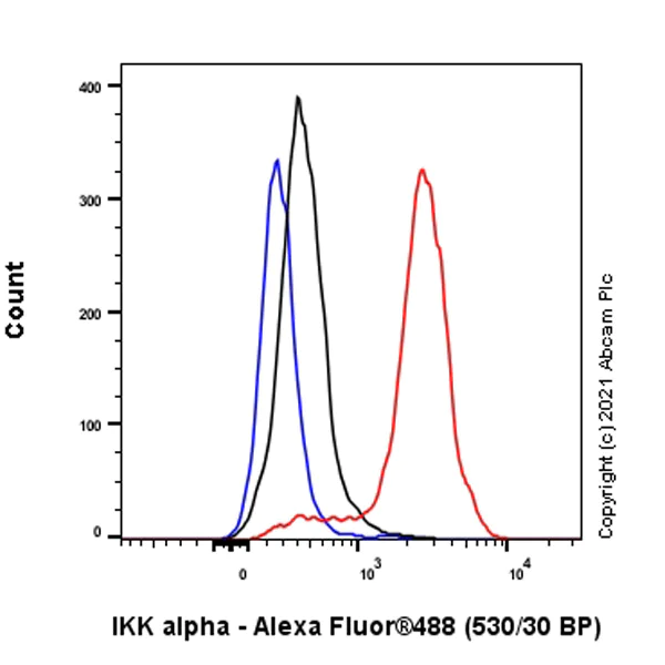 Anti-IKK alpha antibody [Y463] (ab32041) | Abcam