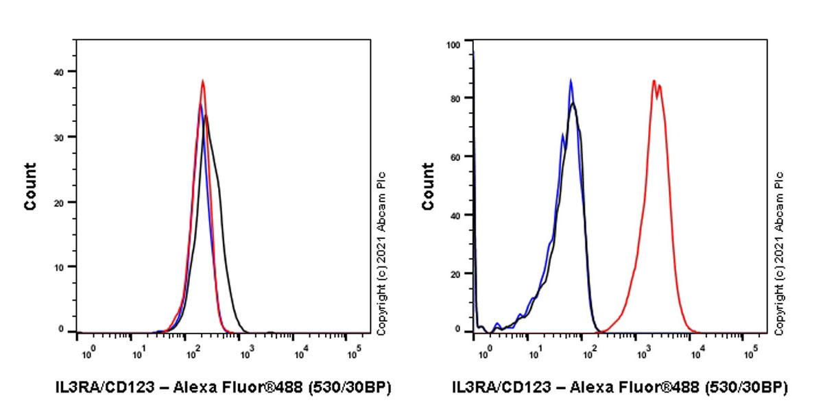 Anti-IL3RA/CD123 antibody [EPR24481-20] 20 ul size (ab280355) | Abcam