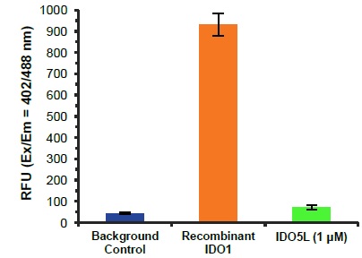 Indoleamine 2,3-Dioxygenase 1 (IDO1) Activity Assay Kit (ab235936) | Abcam