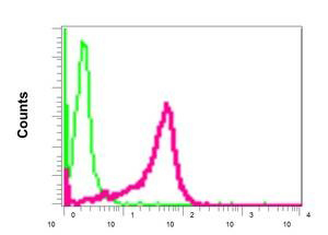 Anti-INPPL1/SHIP-2 antibody [EPR10954] (ab157460) | Abcam