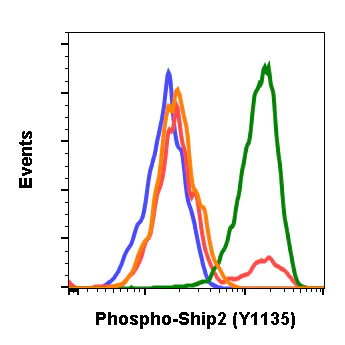 Anti-INPPL1/SHIP-2 (phospho Y1135) antibody [Ship2Y1135-1D2] (ab278556 ...