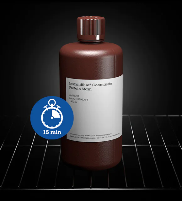 Coomassie InstantBlue® (ISB1L) Protein Stain (ab119211) | Abcam