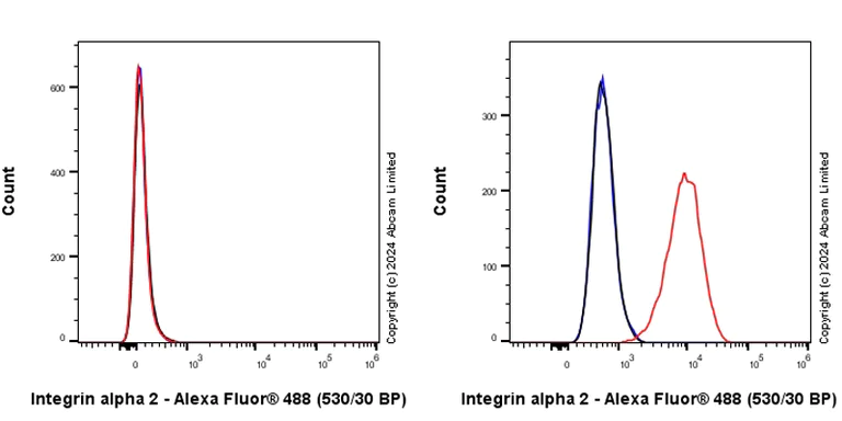 Anti-Integrin alpha 2 antibody [EPR29247-536] (ab323184) | Abcam中文官网