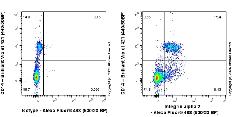 Anti-Integrin alpha 2 antibody [EPR29247-536] (ab323184) | Abcam中文官网
