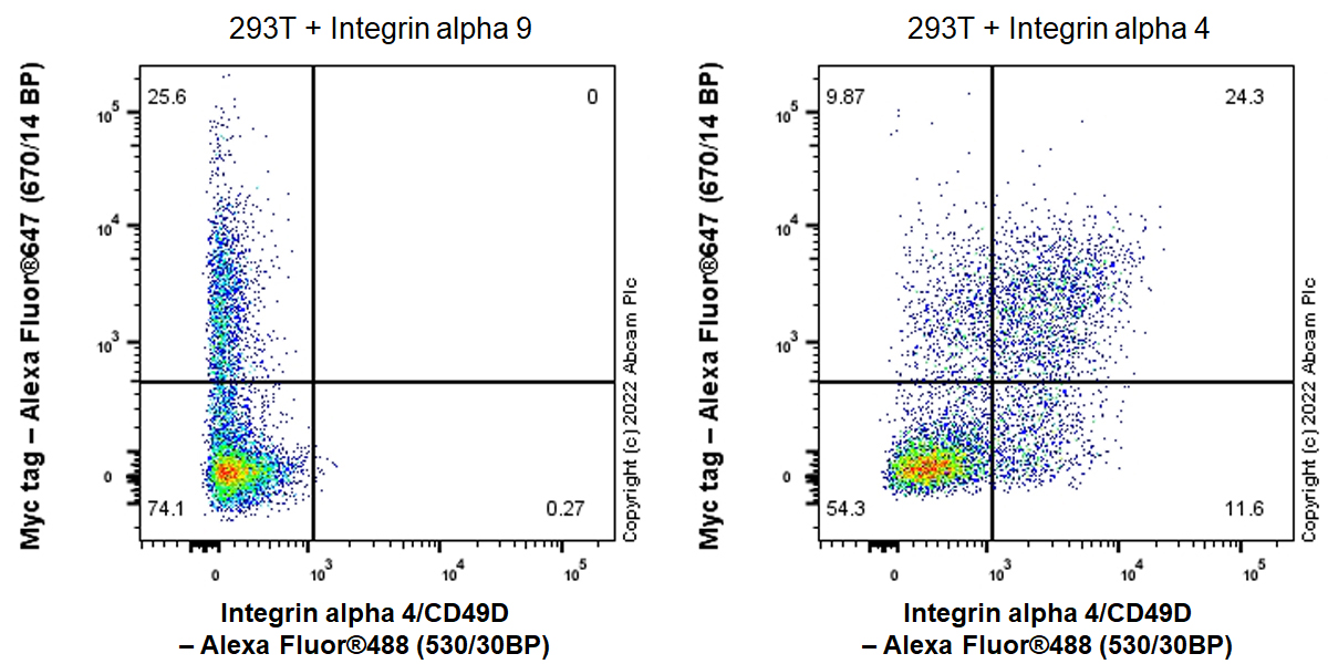 Anti-Integrin alpha 4/CD49D antibody [EPR26133-5] KO Tested (ab307648 ...