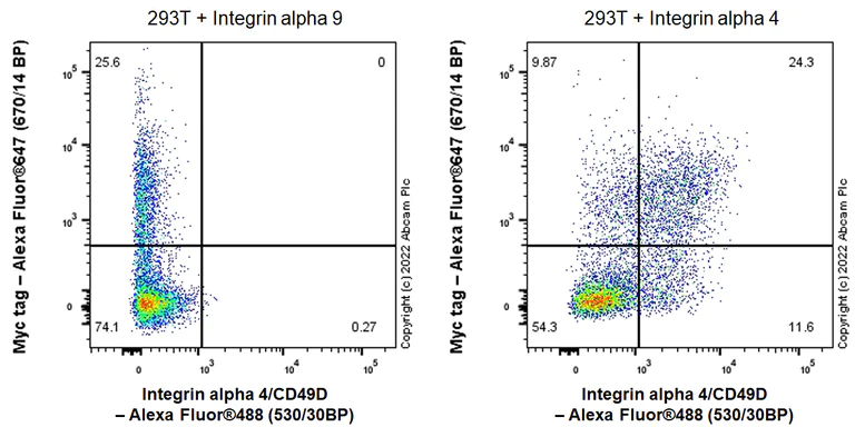 Integrin alpha 4/CD49D抗体[EPR26133-5] - BSA and Azide free (ab307649)| Abcam中文官网