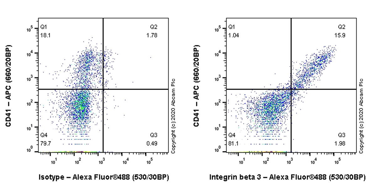 Anti-Integrin beta 3 antibody [Y2/51] (ab9509) | Abcam