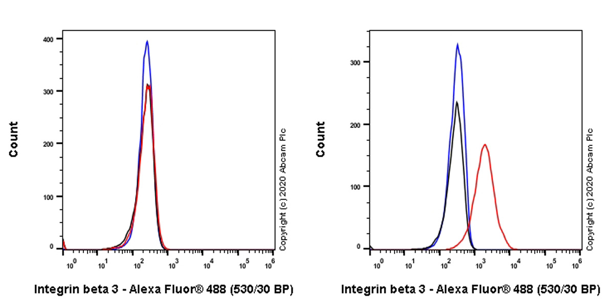 Anti-Integrin beta 3 antibody [Y2/51] (ab9509) | Abcam