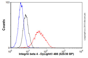 Anti-Integrin beta 4 antibody [M126] (ab29042) | Abcam