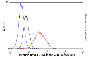Anti-Integrin beta 4 antibody [M126] (ab29042) | Abcam