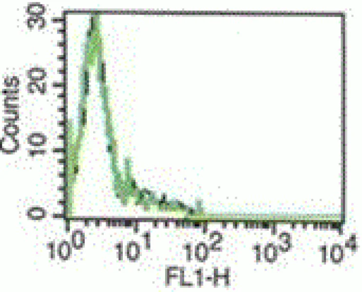 Anti-Interferon gamma 抗体 [B-B1] - BSA and Azide free (ab47343) | Abcam