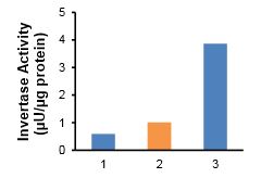 Invertase Activity Assay Kit (Colorimetric) (ab197005) | Abcam