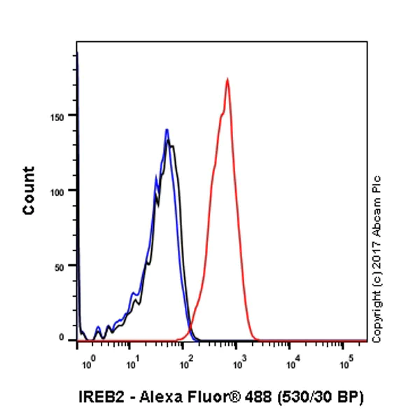 Anti-IREB2/IRP2 + Aconitase 1/ACO1 antibody [EPR13854] - BSA and Azide ...