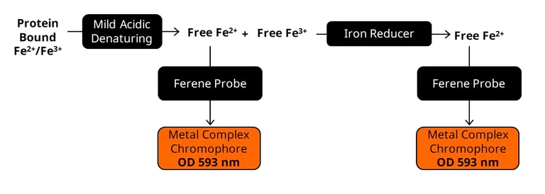 Iron检测试剂盒 (Colorimetric) (ab83366)| Abcam中文官网