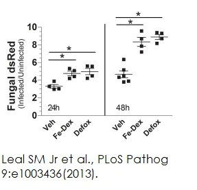 Iron Assay Kit (Colorimetric) (ab83366) | Abcam