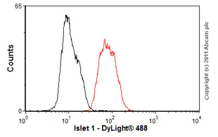 Anti-Islet 1 antibody [1B1] - Neural Stem Cell Marker (ab86501) | Abcam